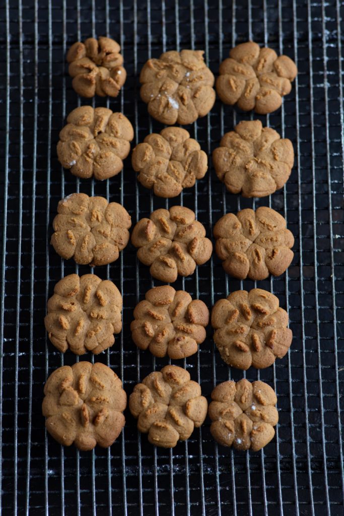 Frosted Honey Ginger Snaps - Kitchen Wrangler | Melissa Guerra